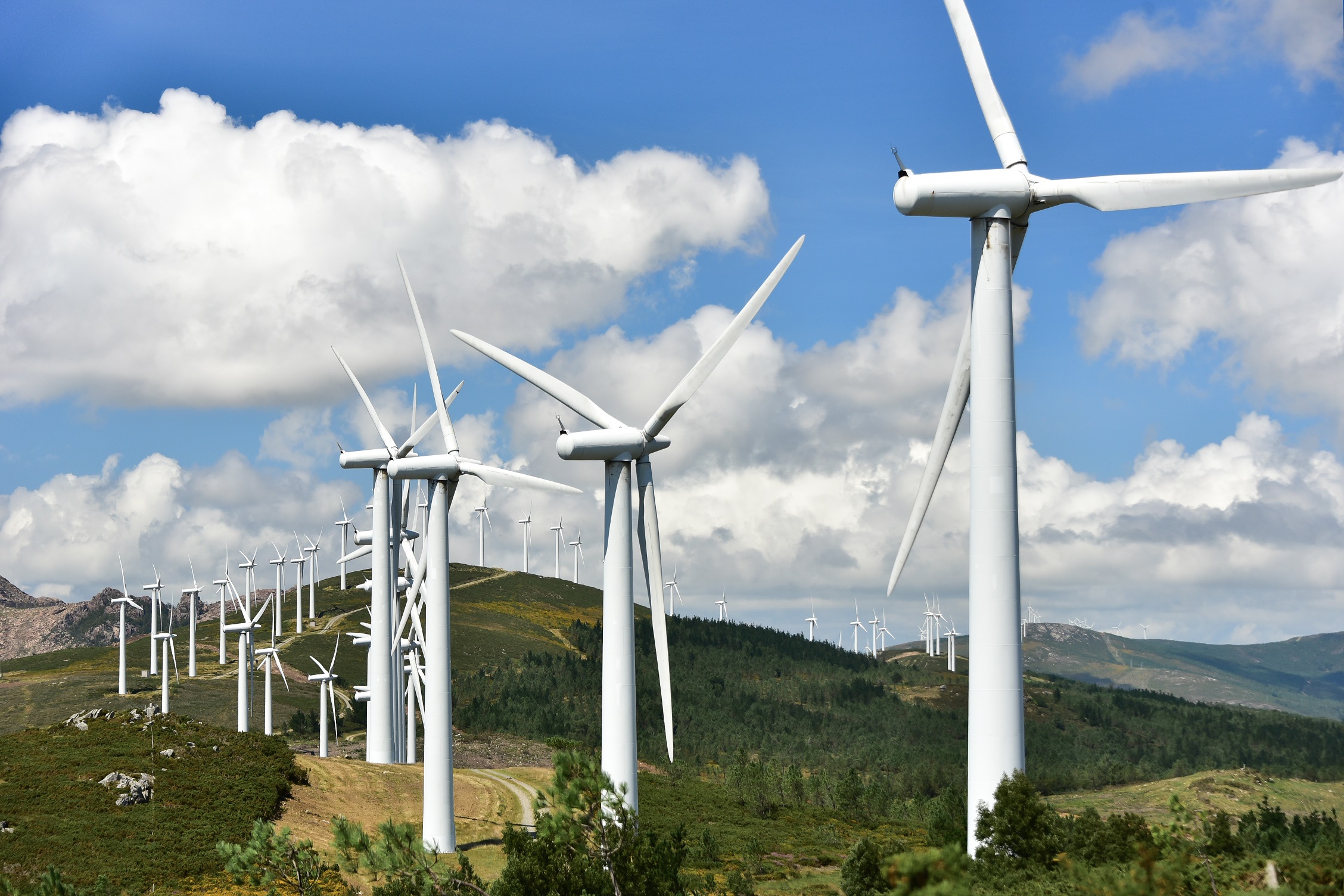 Renewable energy debate