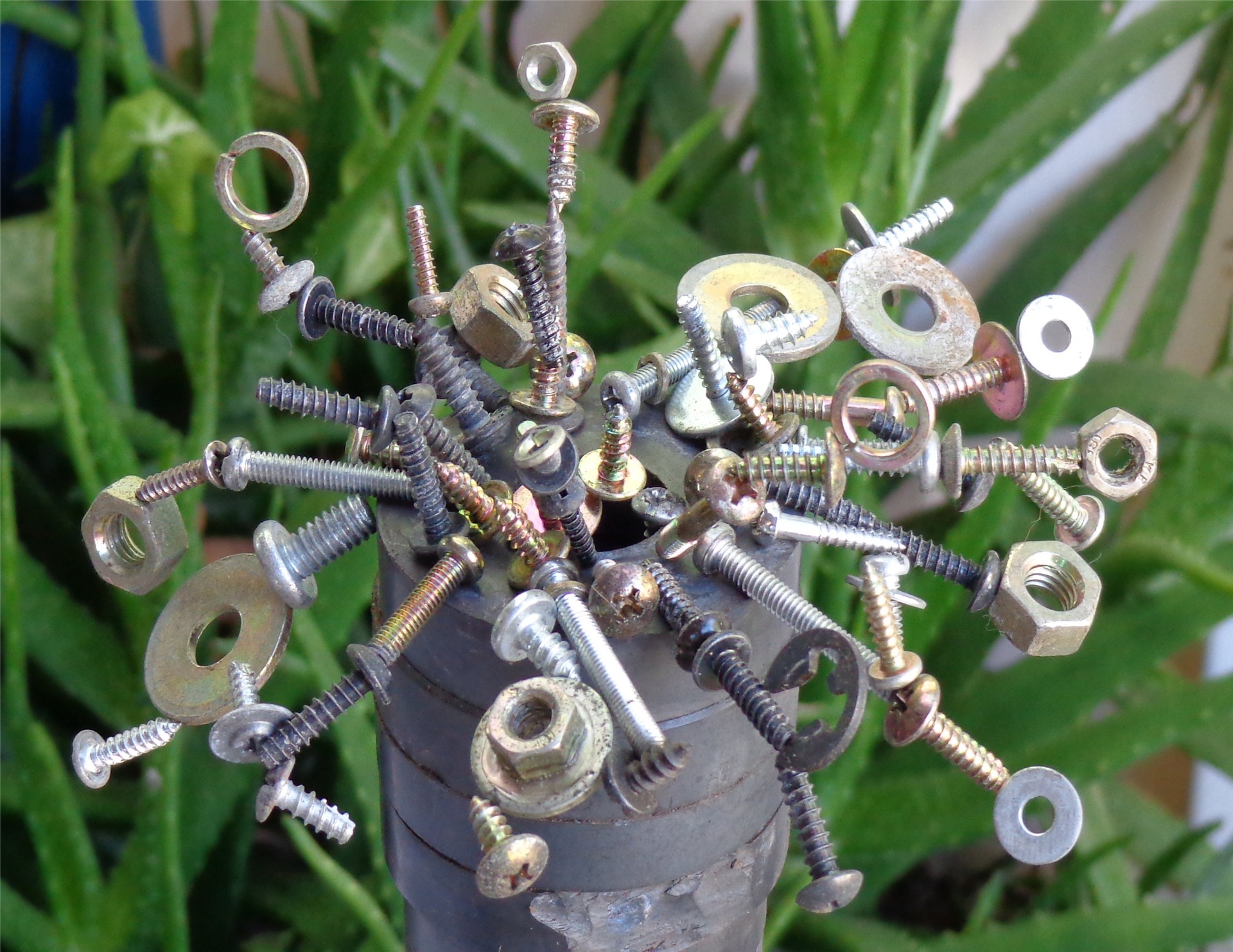 Easy magnet experiments ideas to try