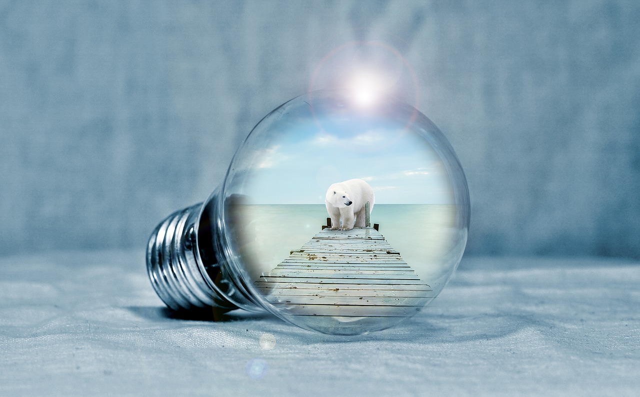 Generating electricity - what is renewable energy?