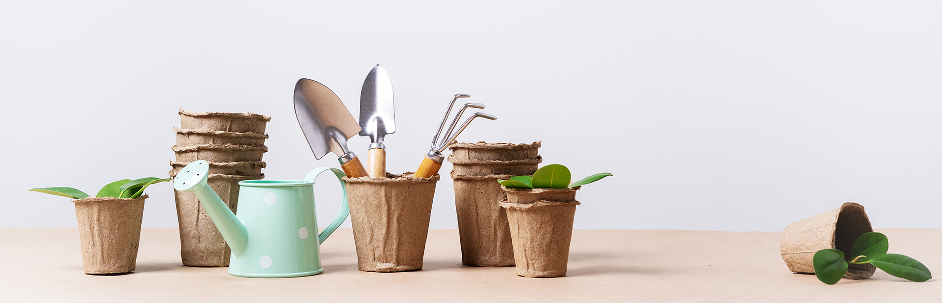 DIY Paper Planter – National Earth Day