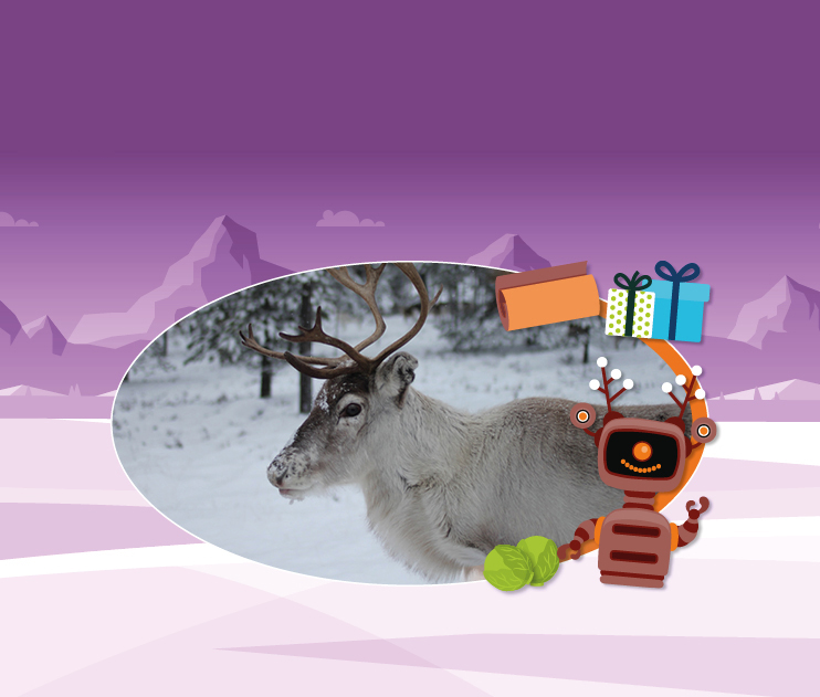 Mix acids and alkalis and make Rudolph fly with his very own pop rocket